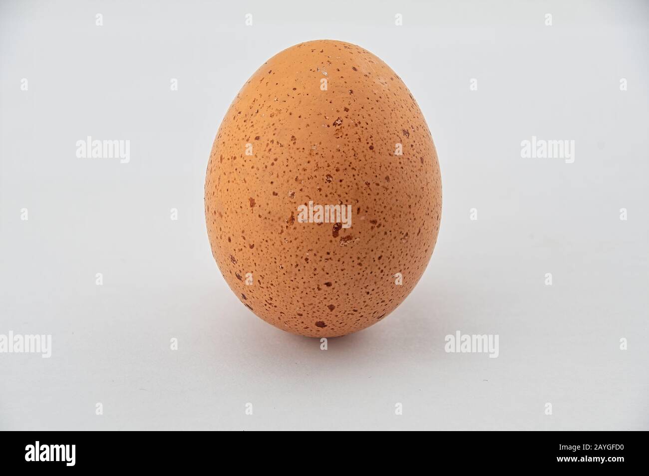 A single chicken egg on a white background Stock Photo - Alamy