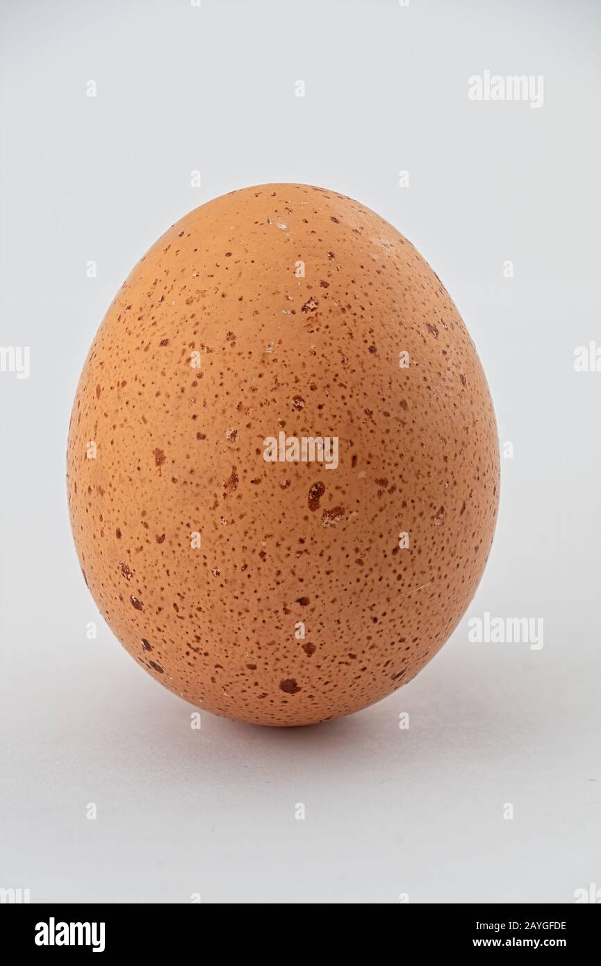 A single chicken egg on a white background Stock Photo - Alamy