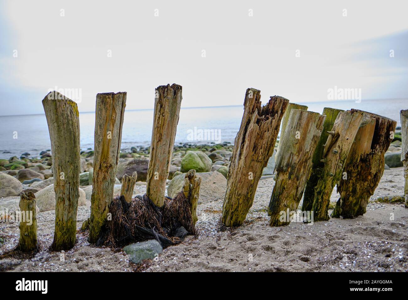 Rotten wooden poles at the coast Stock Photo - Alamy