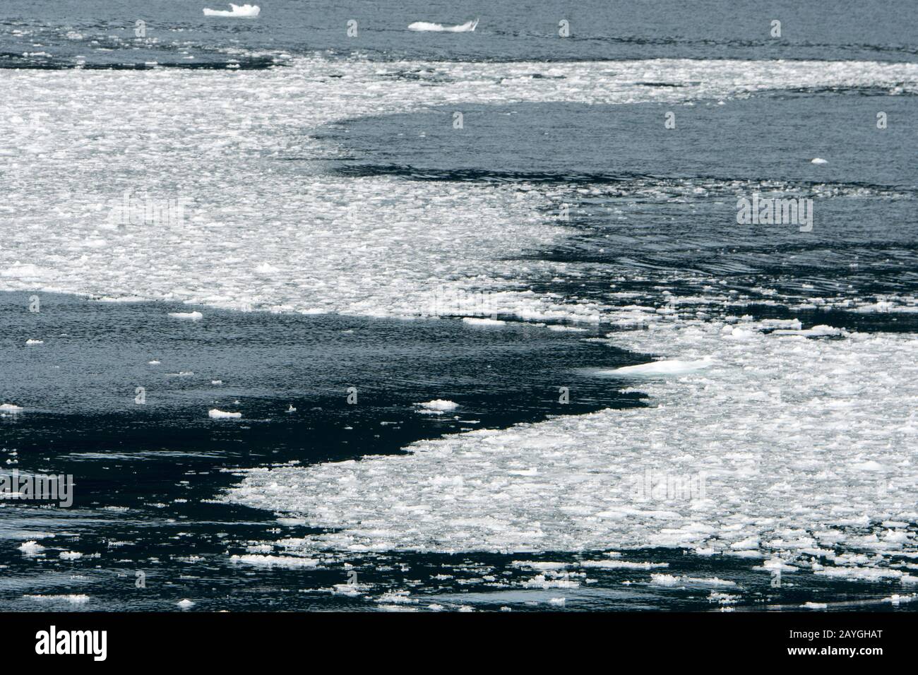 Brash ice from the Condor Glacier floating in the Agostini Sound ...