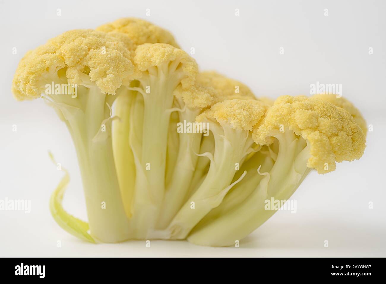 Raw Small Cauliflower clos up on white background Stock Photo - Alamy
