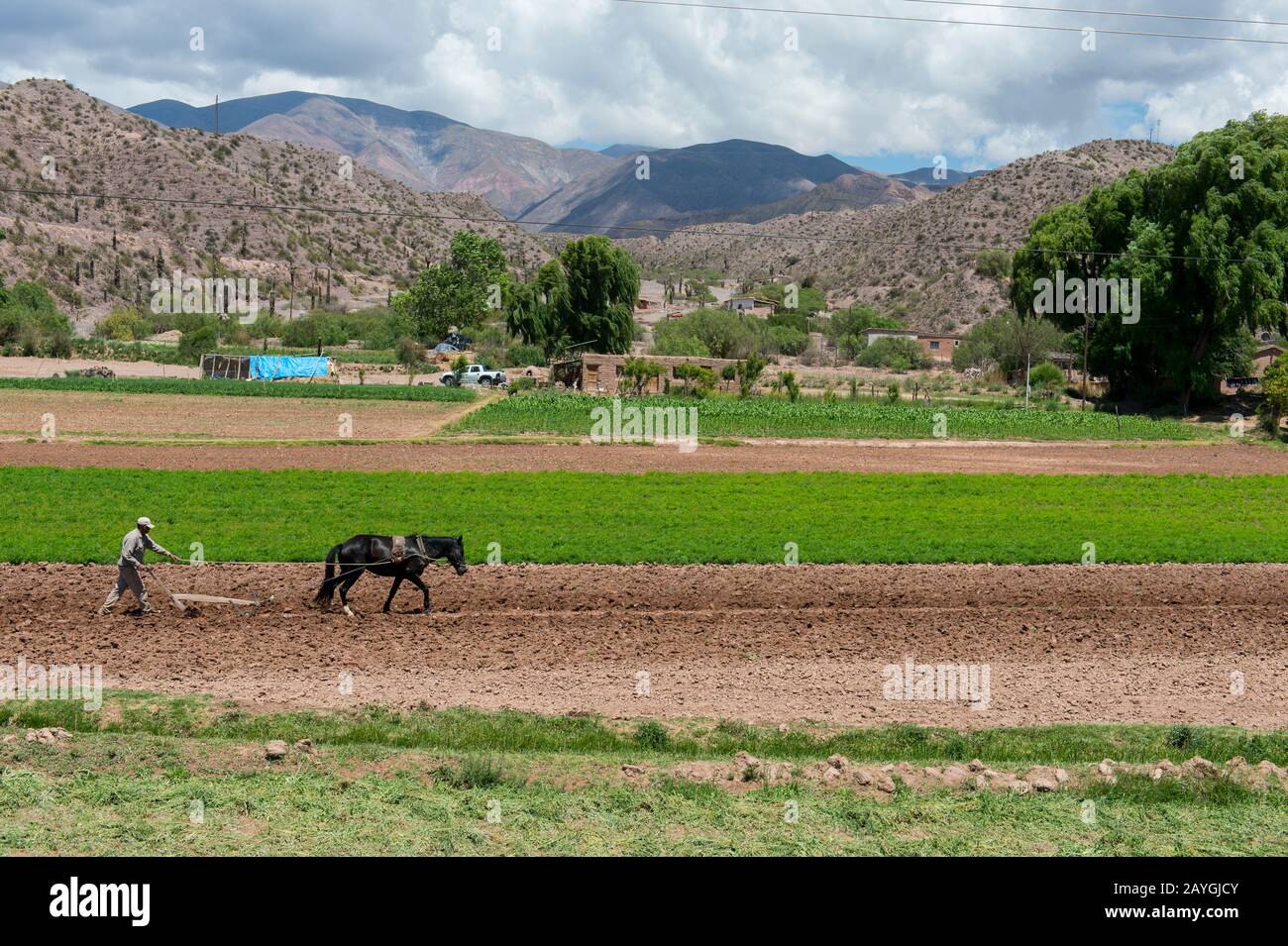 Horse drawn plow hi-res stock photography and images - Alamy