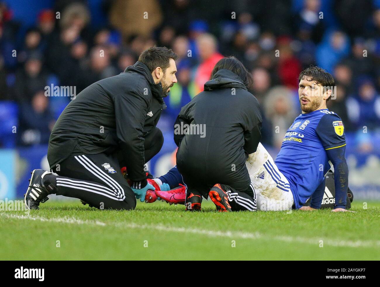 Scott hogan hi-res stock photography and images - Alamy