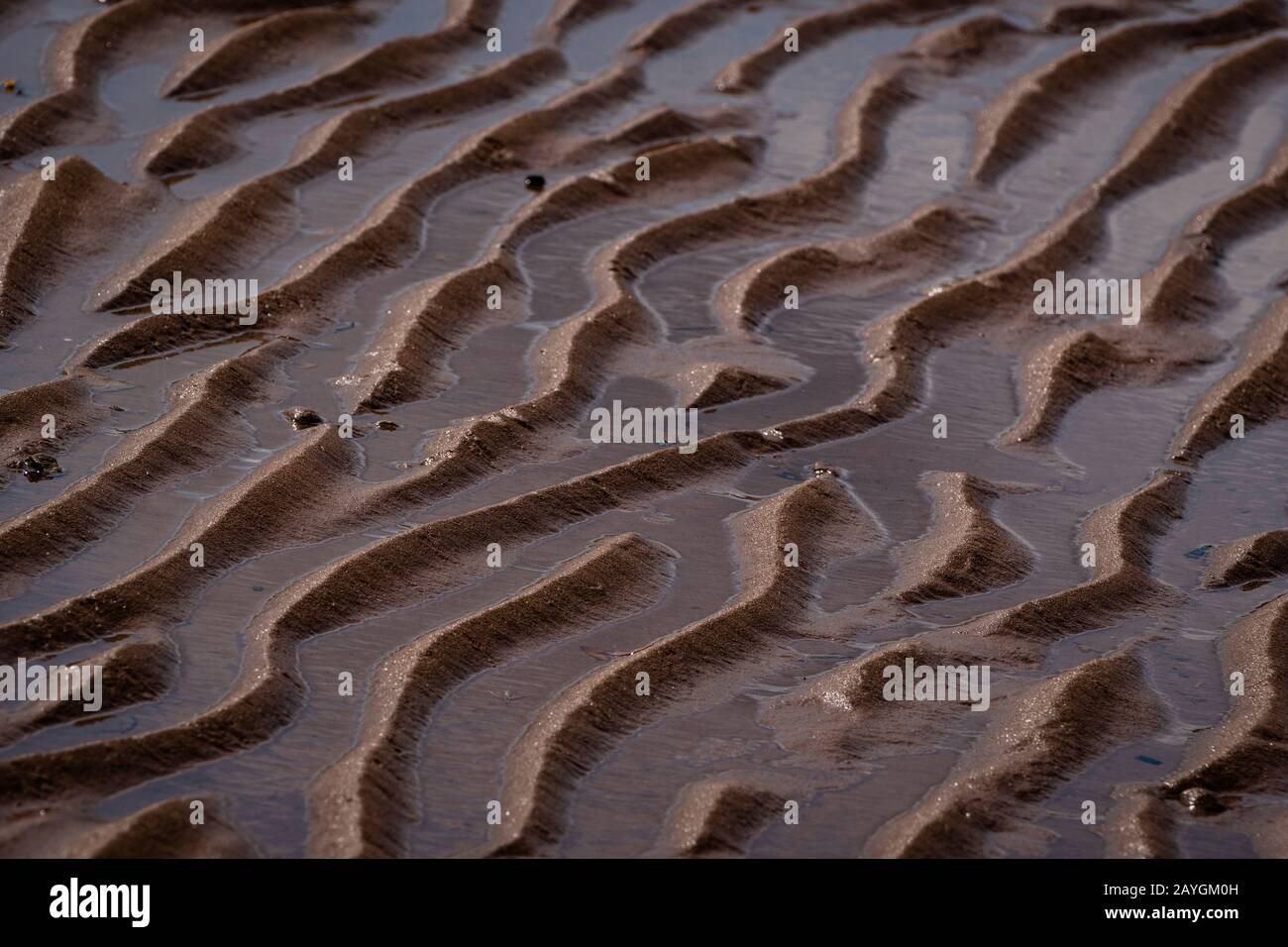 Wave action has created sand ripples on a beach Stock Photo - Alamy