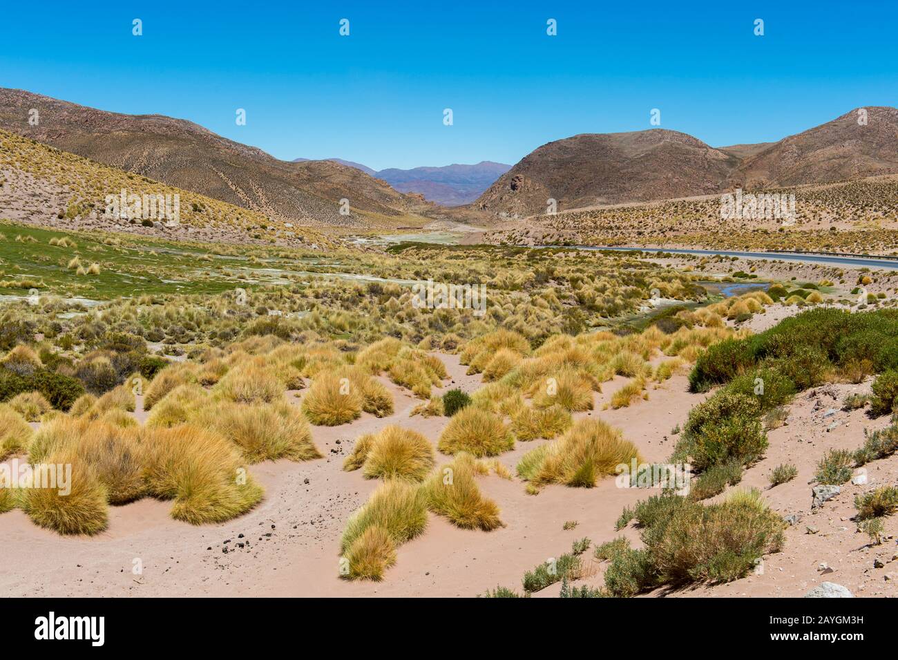 Andes mountains chile hi-res stock photography and images - Alamy