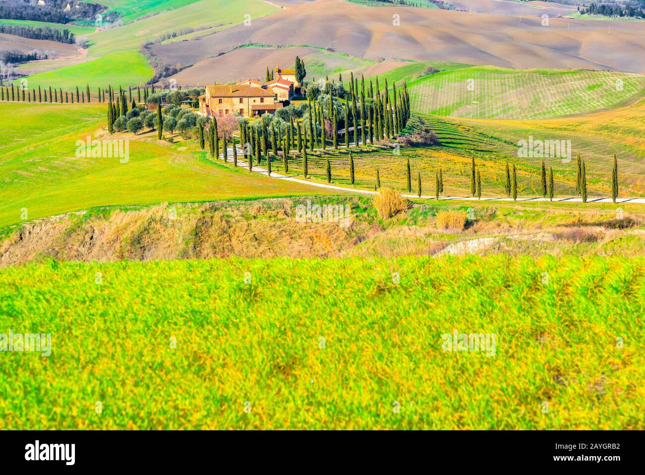 Tuscany, Crete Senesi rural sunset landscape. Countryside farm ...