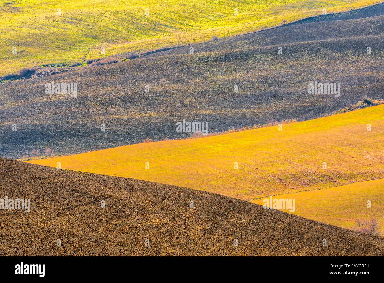 Tuscany, Crete Senesi rural sunset landscape. Countryside farm ...