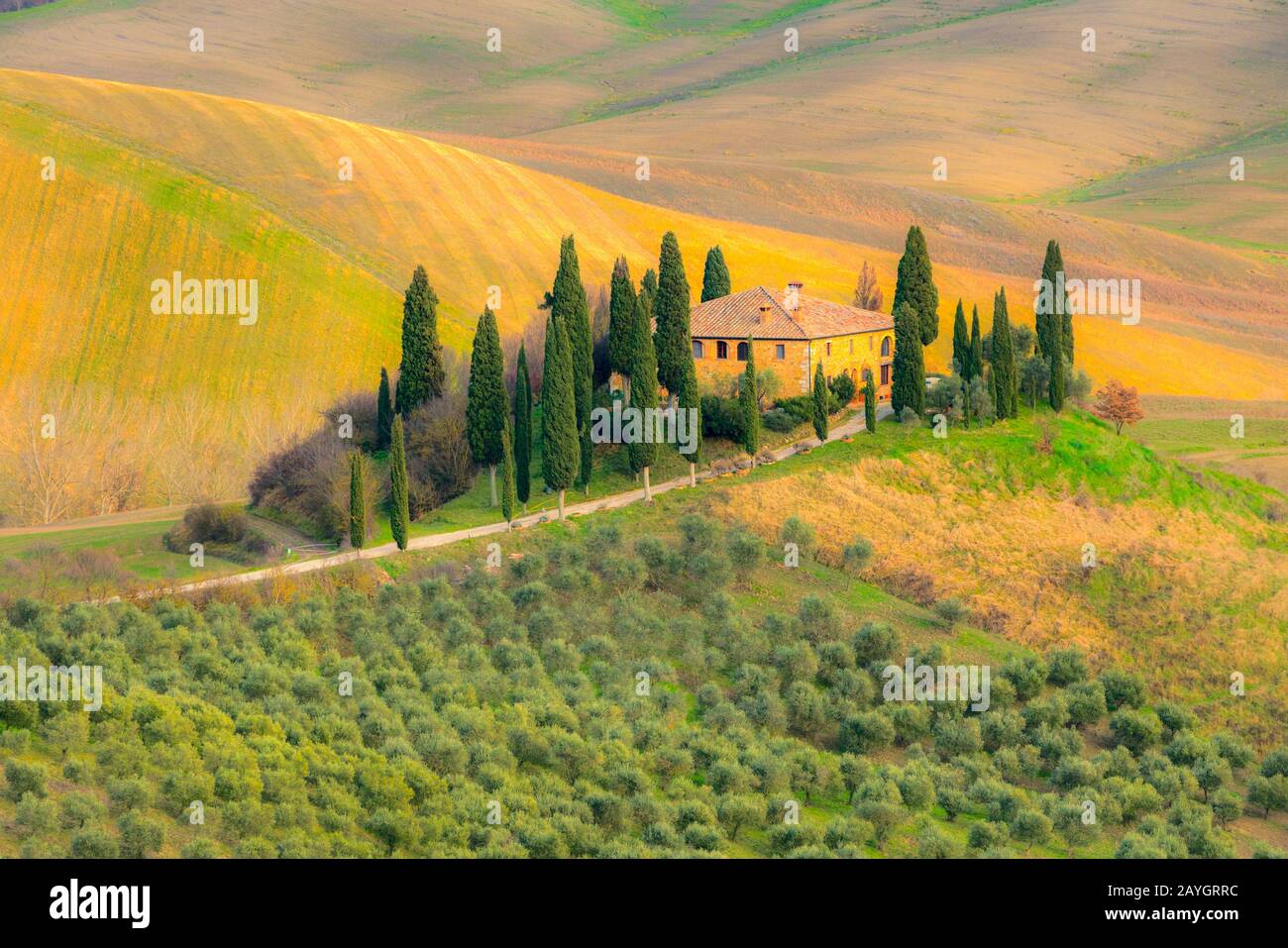 Tuscany, Crete Senesi rural sunset landscape. Countryside farm ...