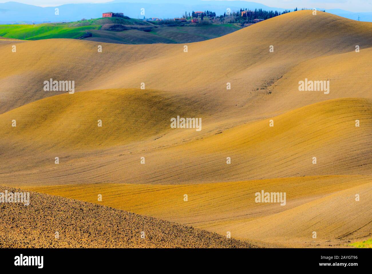 Tuscany, Crete Senesi rural sunset landscape. Countryside farm ...