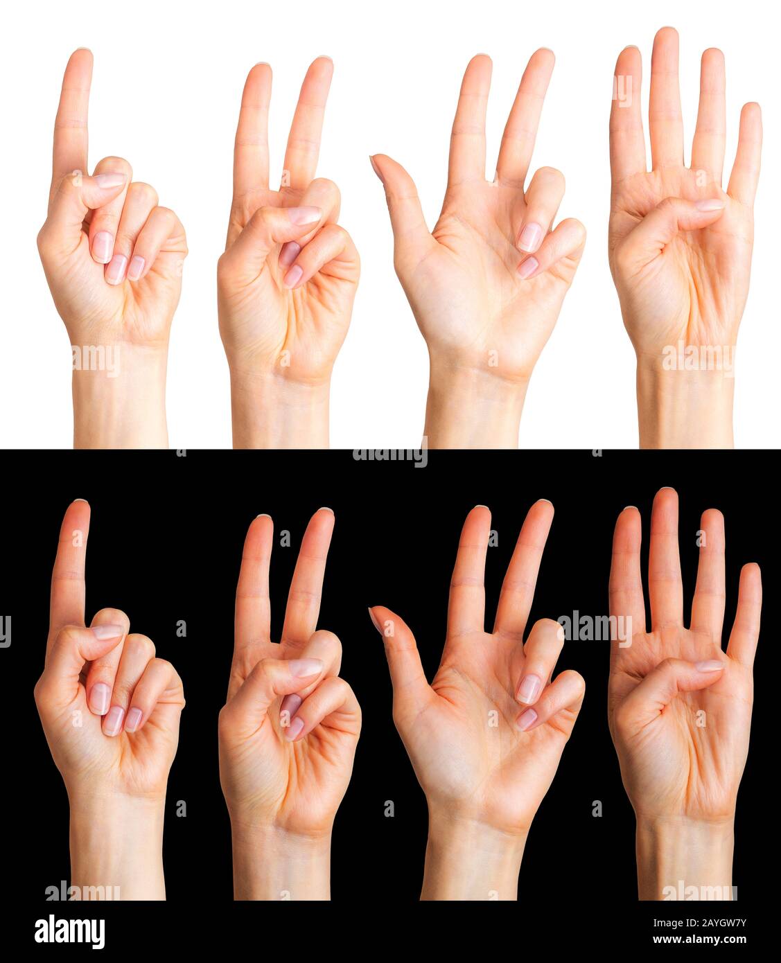 Set of woman hands count on fingers Stock Photo - Alamy