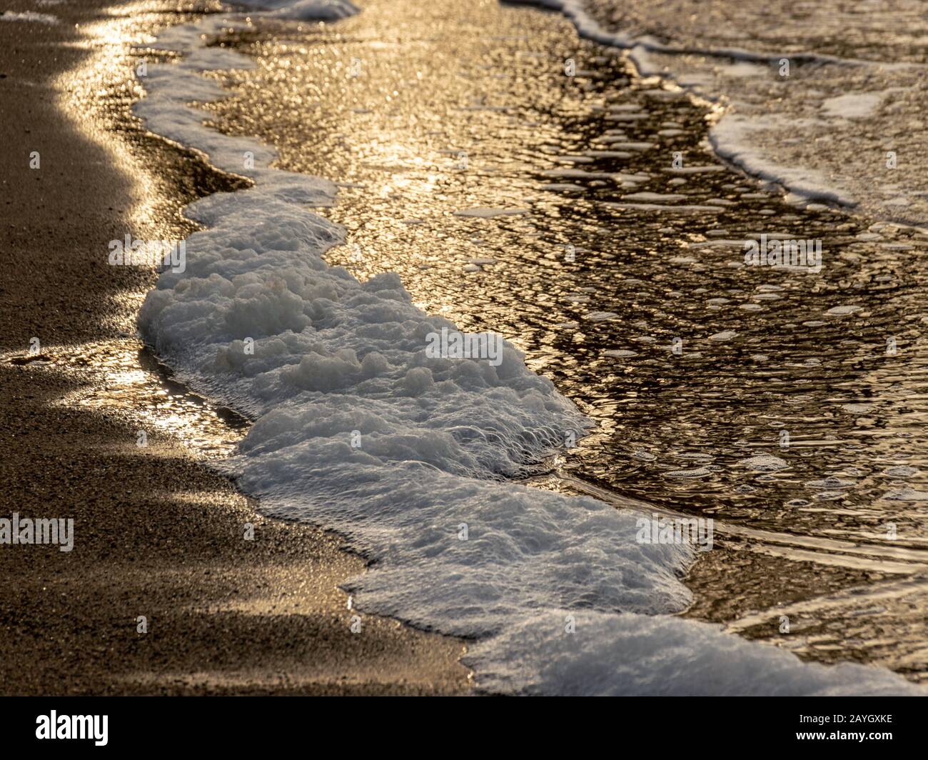 abstract backlit sea foam texture, beach and sea waves Stock Photo - Alamy