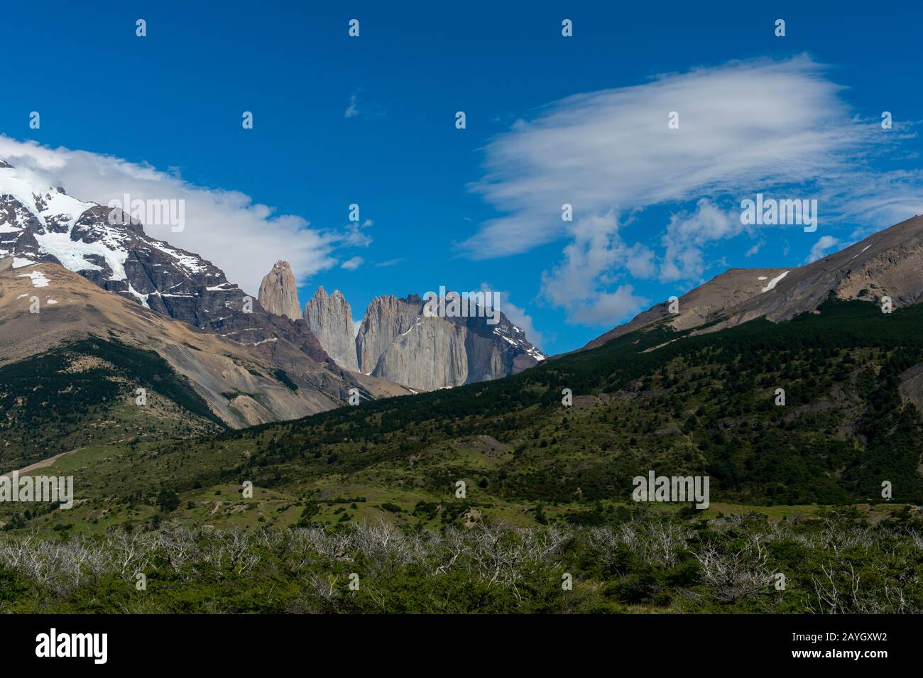 View of the Torres del Paine (Towers) in the Paine Massif in Torres del ...