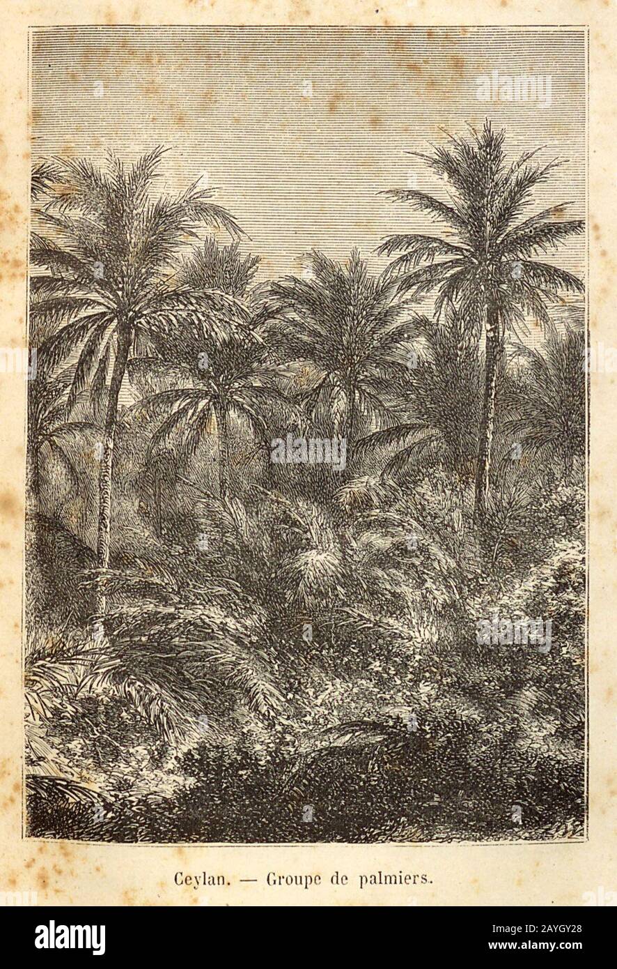 Francis Garnier - de Paris au Tibet - notes de voyage - 1882 - 006 ...