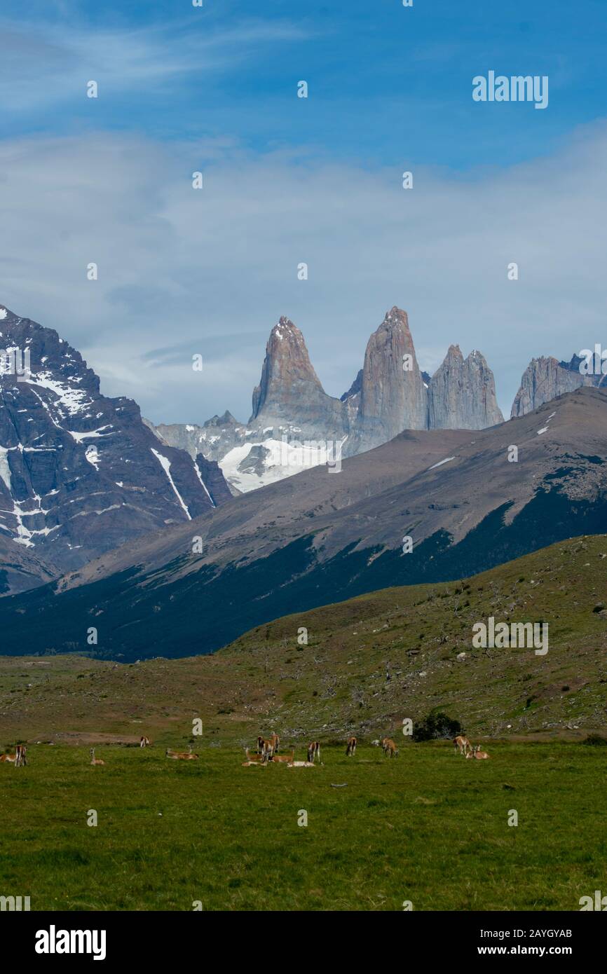 View of the Torres del Paine (Towers of Paine) in Torres del Paine ...