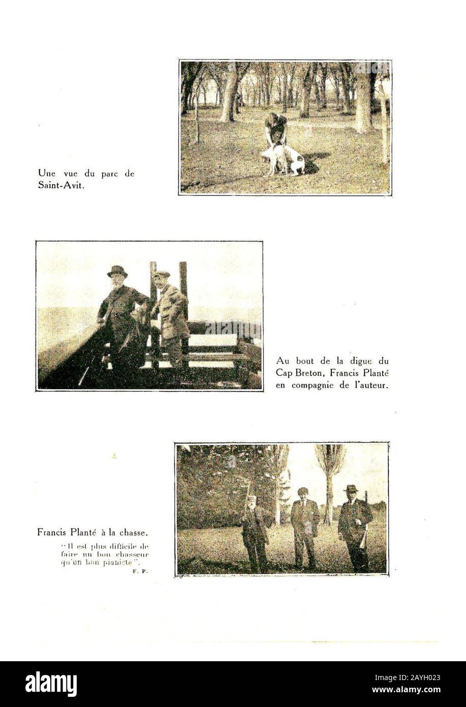 Planté Cut Out Stock Images & Pictures - Alamy