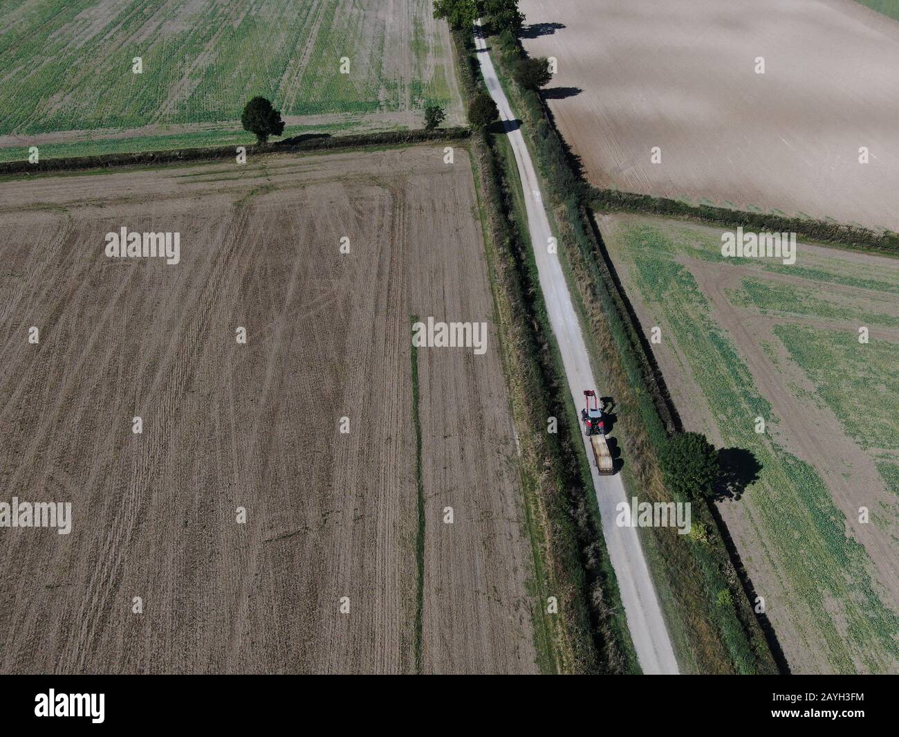 Straight hedges hi-res stock photography and images - Alamy