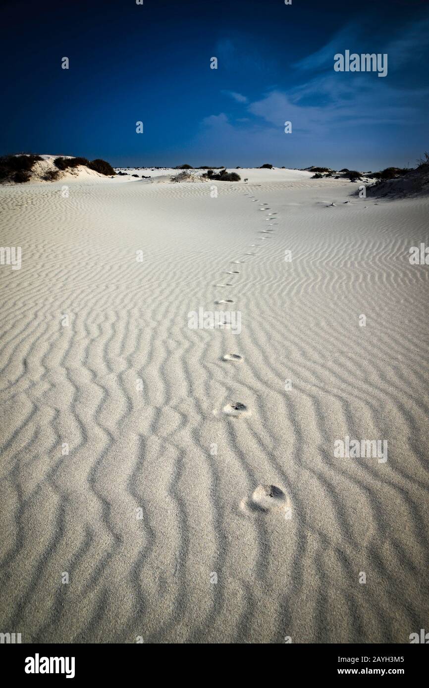 Footprints in sand dunes leading hi-res stock photography and images ...