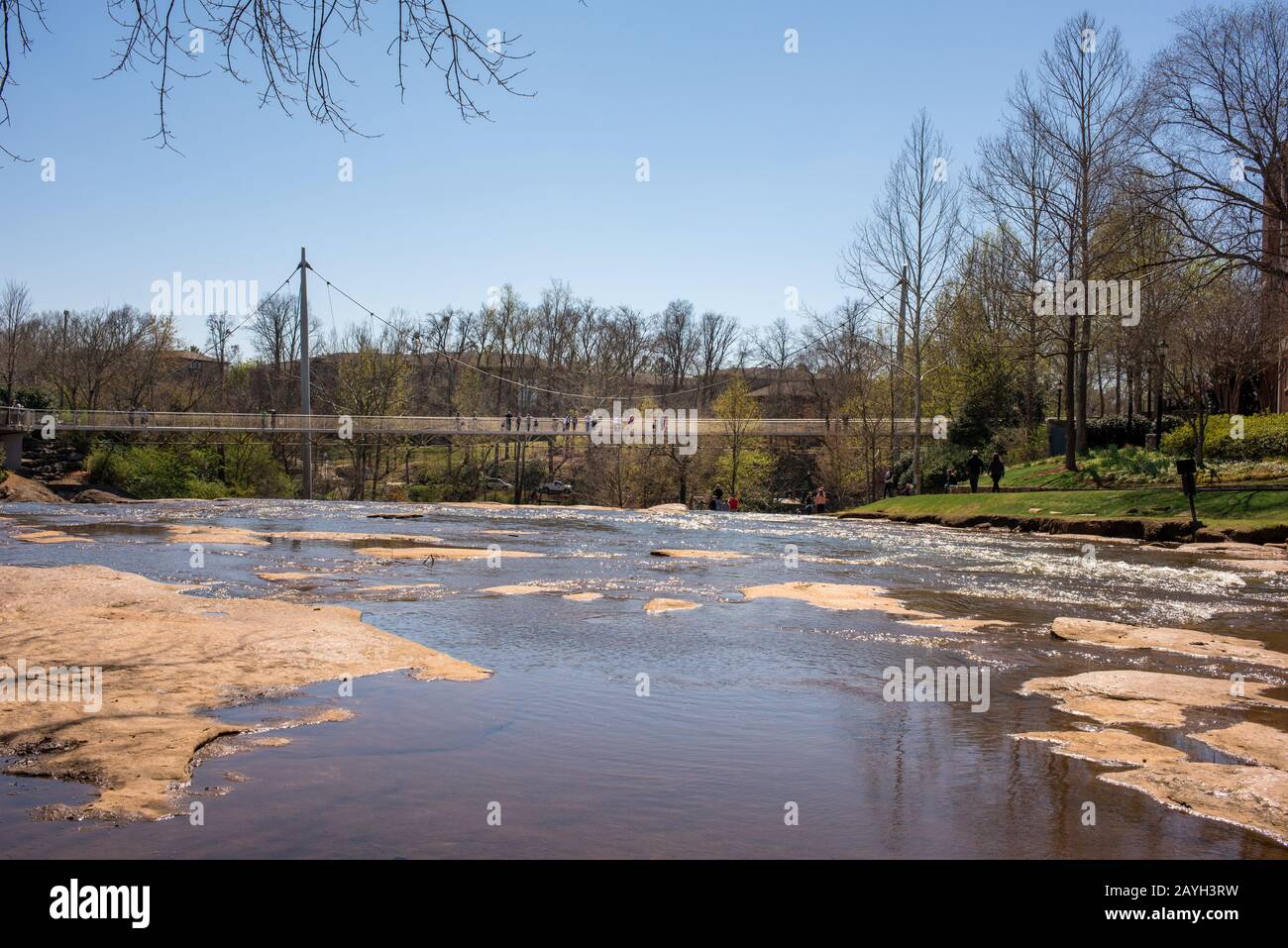 The Liberty Bridge at Falls Park at the Reedy is an iconic landmark in downtown Greenville ...