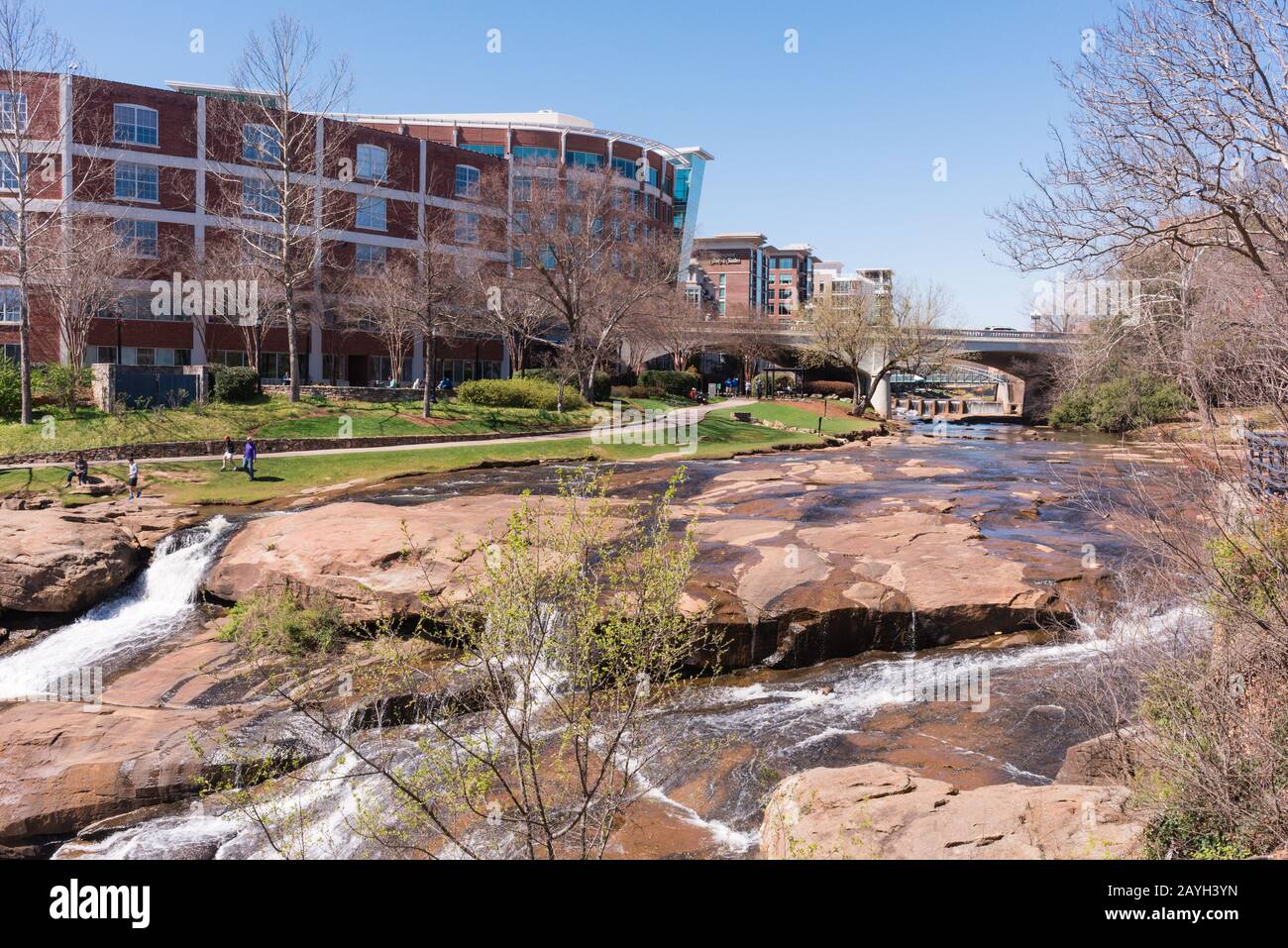Beautiful modern buildings line the public park in downtown Greenville ...