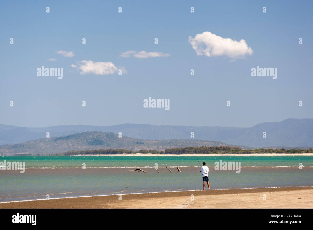 Dingo australia man hi-res stock photography and images - Alamy