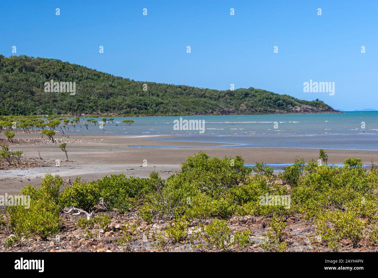 Conway beach australia hi-res stock photography and images - Alamy