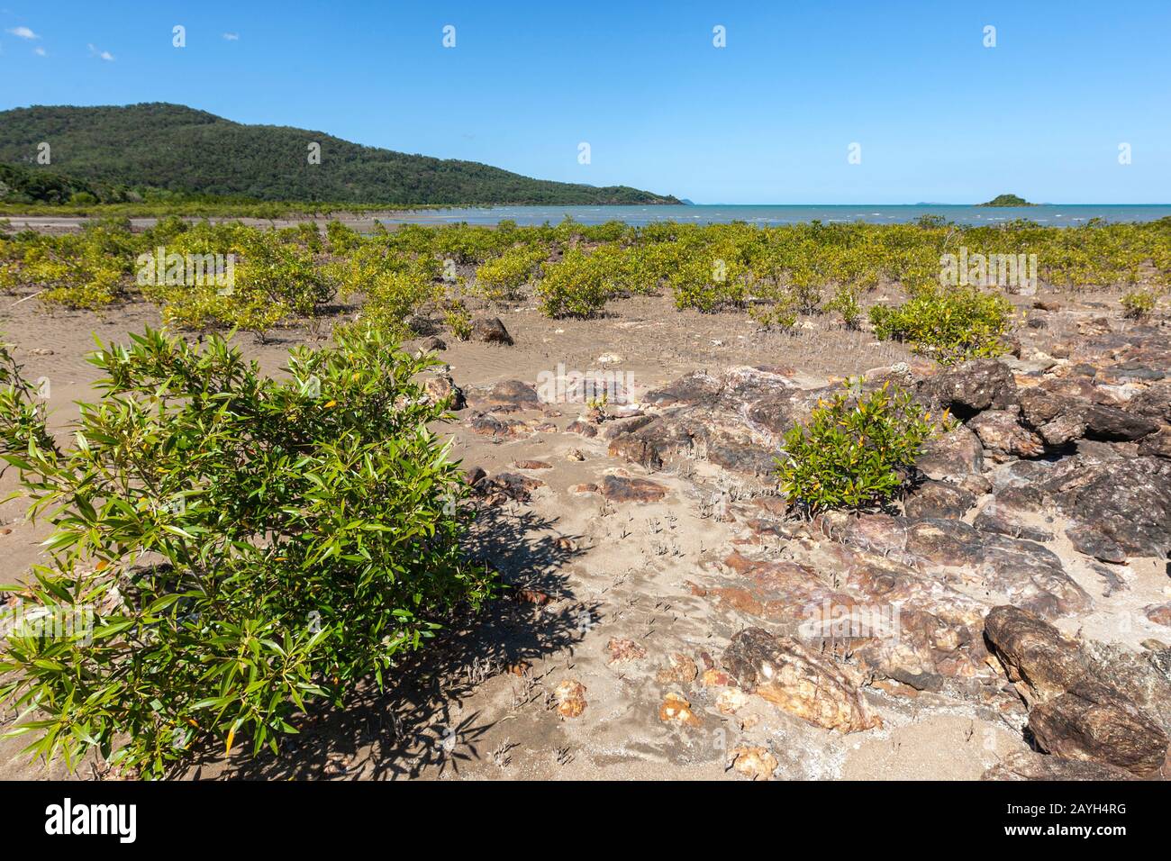 Conway Beach, Queensland, Australia Stock Photo - Alamy