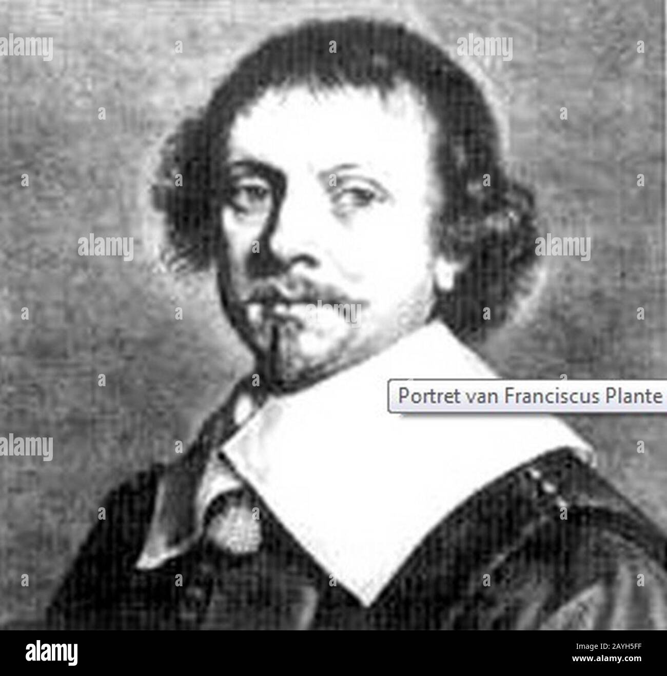 Plante franciscus hi-res stock photography and images - Alamy