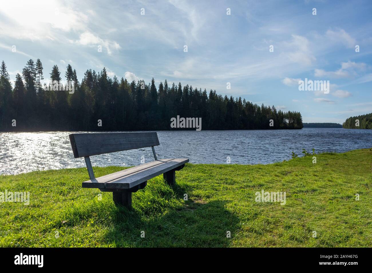 Wooden bench with great view on finish river and pine trees forest with ...