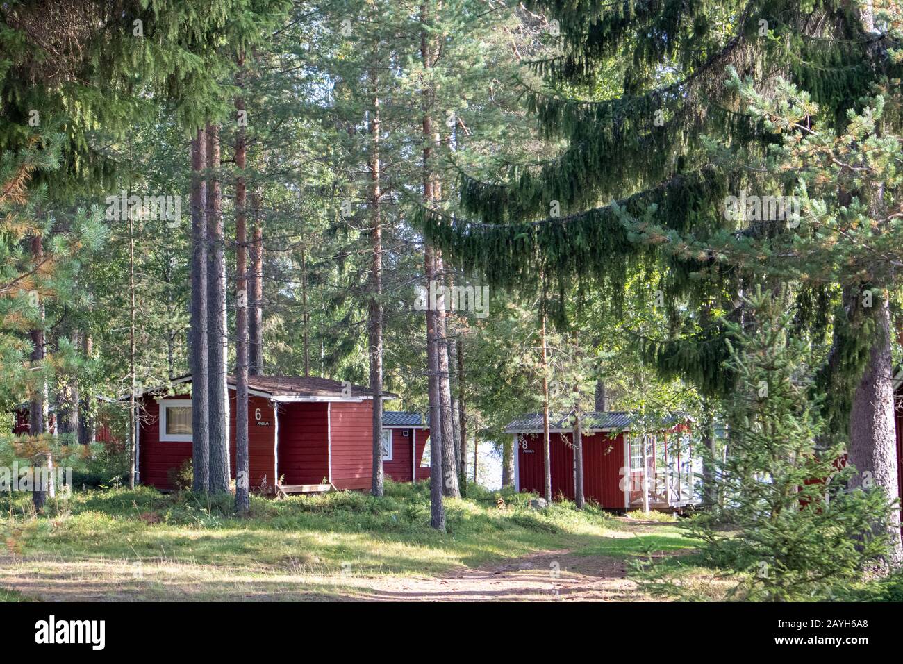 Red wooden finnish traditional cabins cottages in green pine forest ...