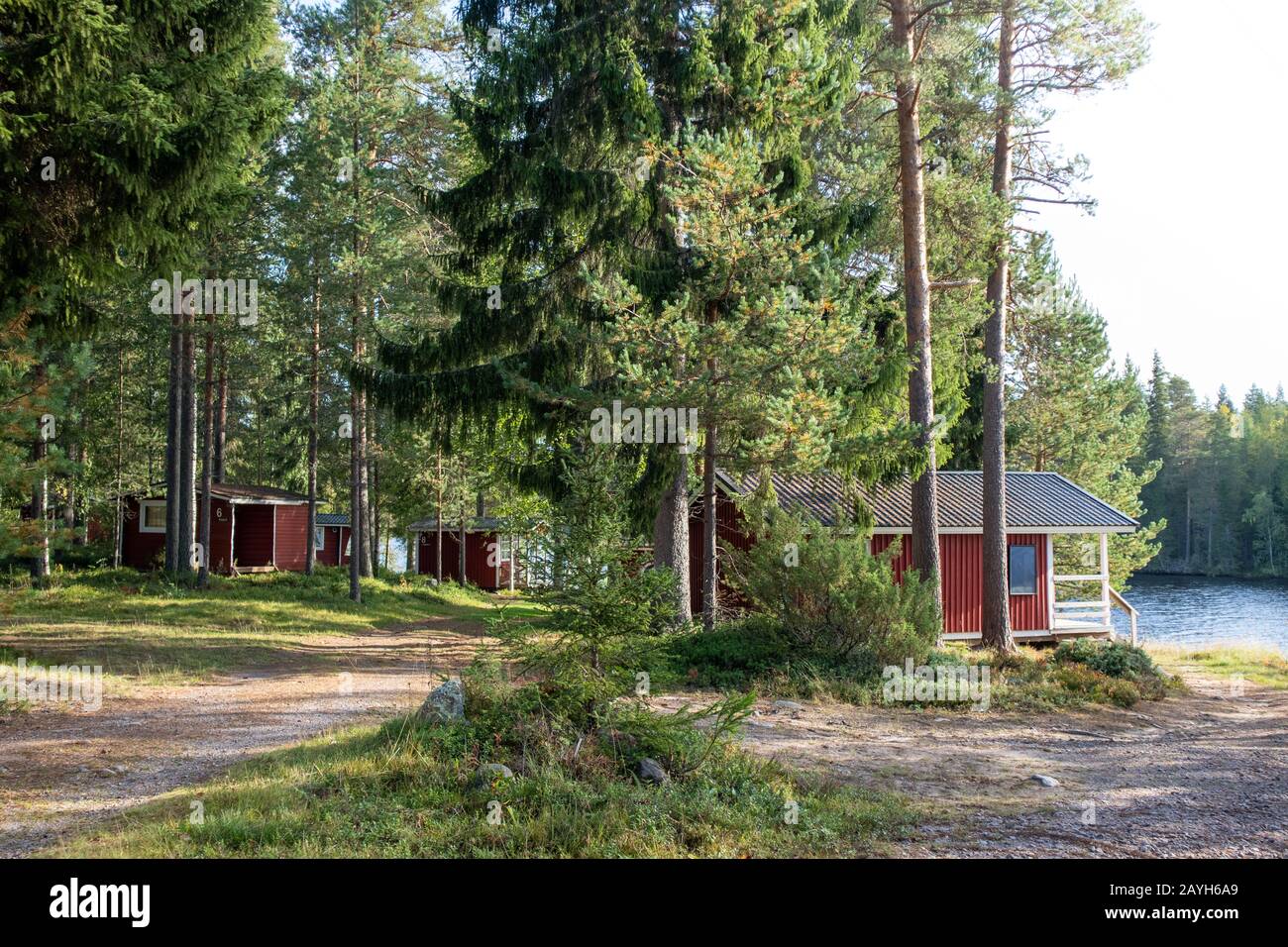 Red wooden finnish traditional cabins cottages in green pine forest ...