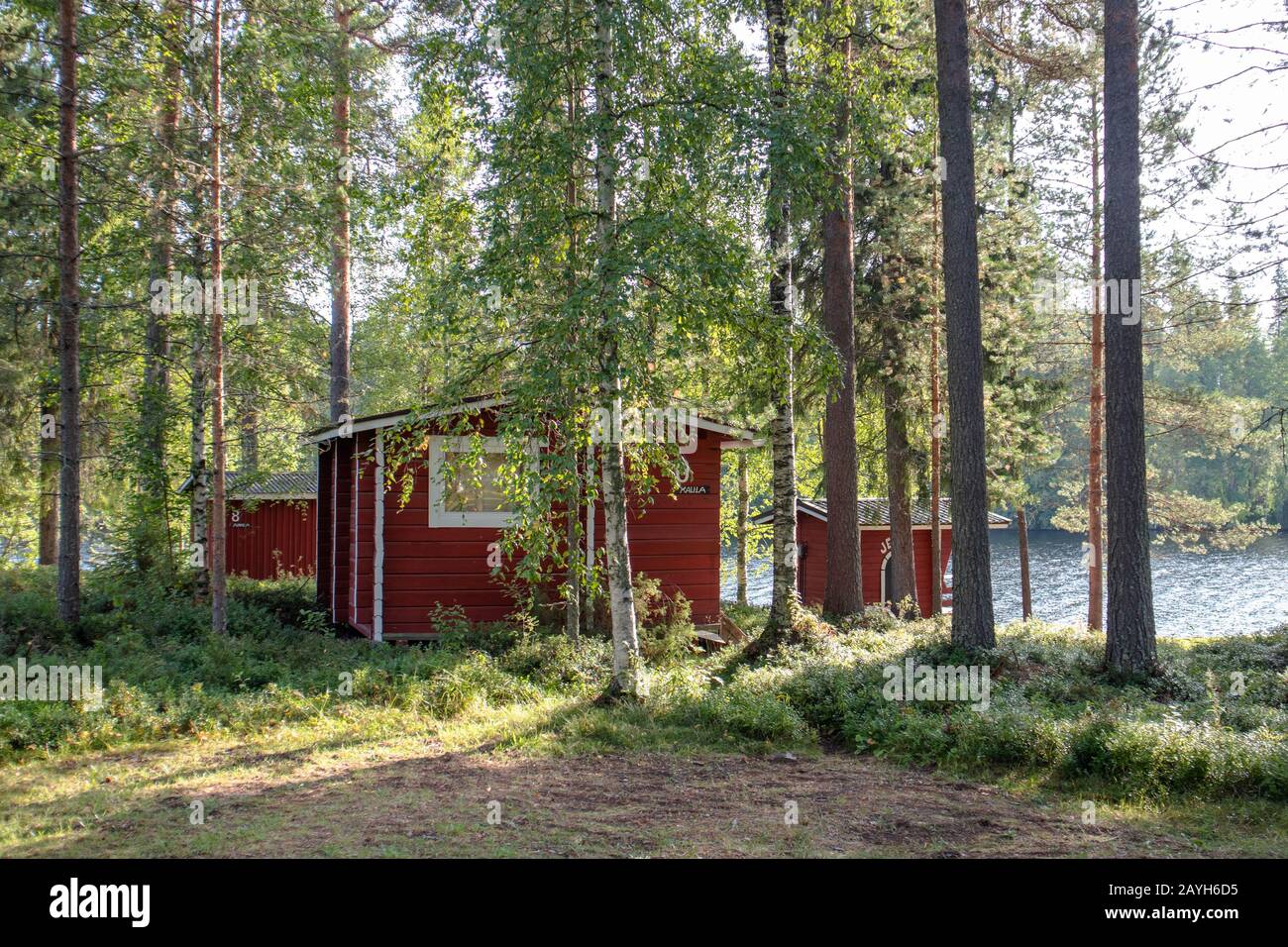 Red wooden finnish traditional cabins cottages in green pine forest ...