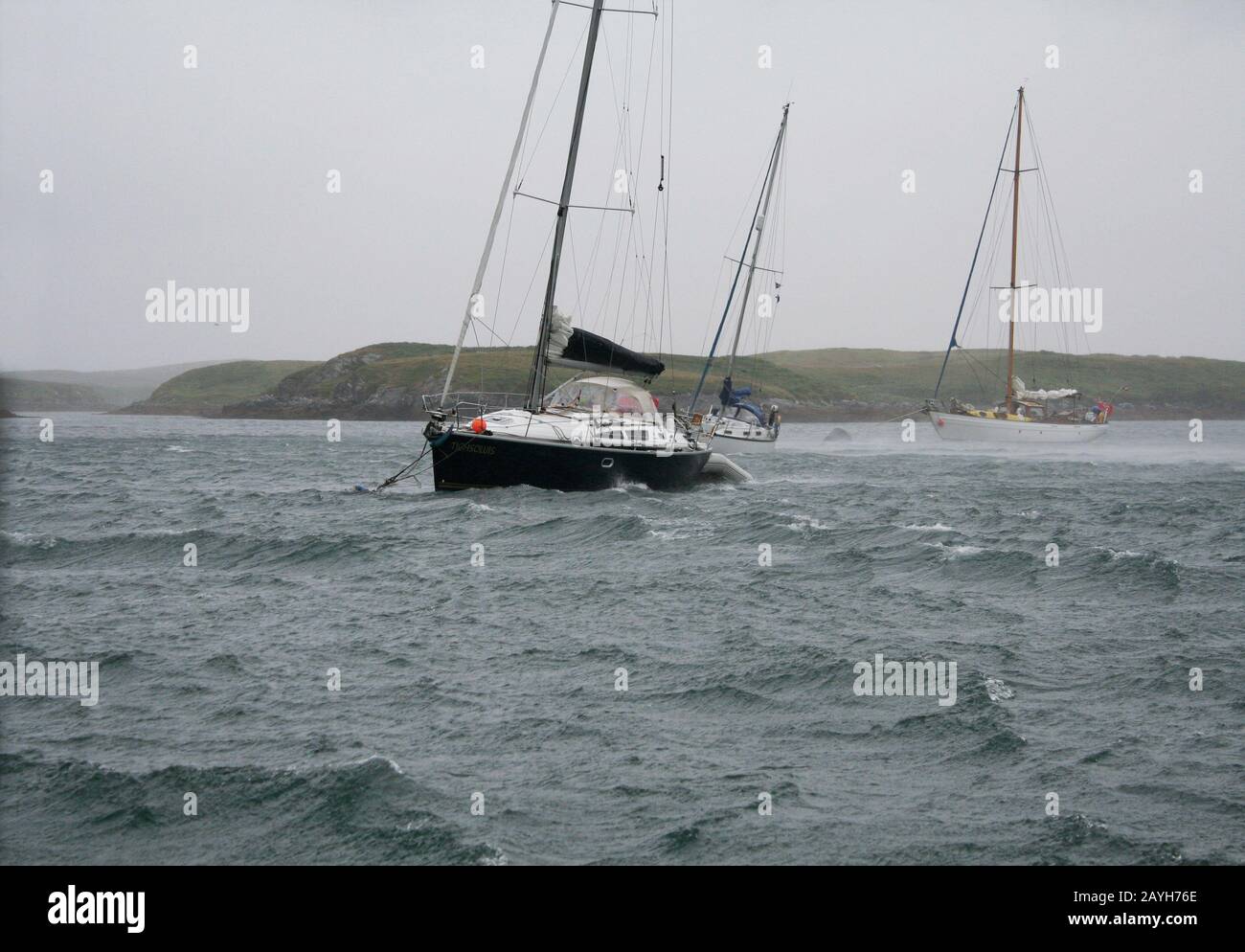 Maddy hi-res stock photography and images - Alamy