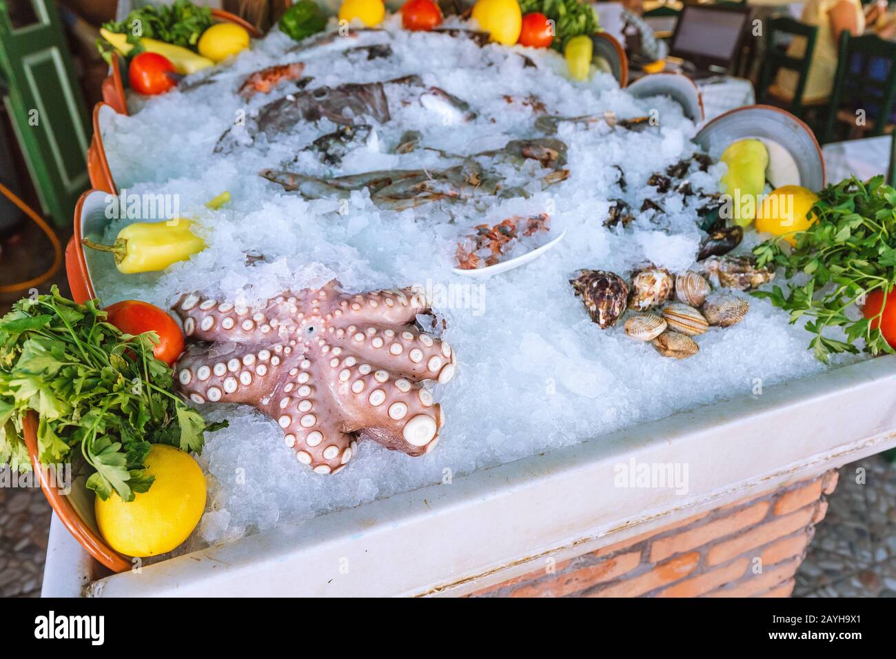 Assortment of fresh fish, raw octopus and other seafood at the ...