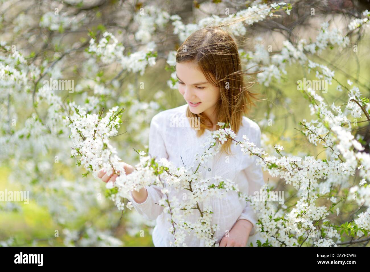 Adorable young girl in blooming cherry tree garden on beautiful spring ...