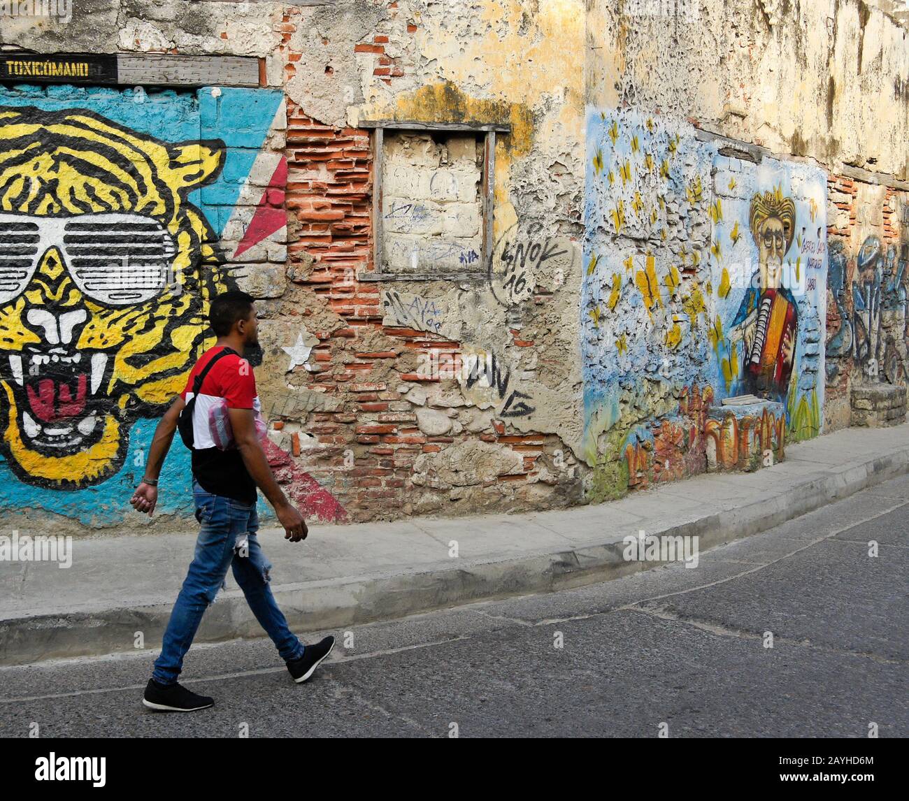 Tiger colombian hi-res stock photography and images - Alamy