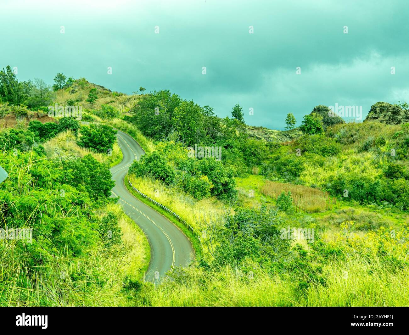 Winding mountain road along lush green vegetation Stock Photo - Alamy