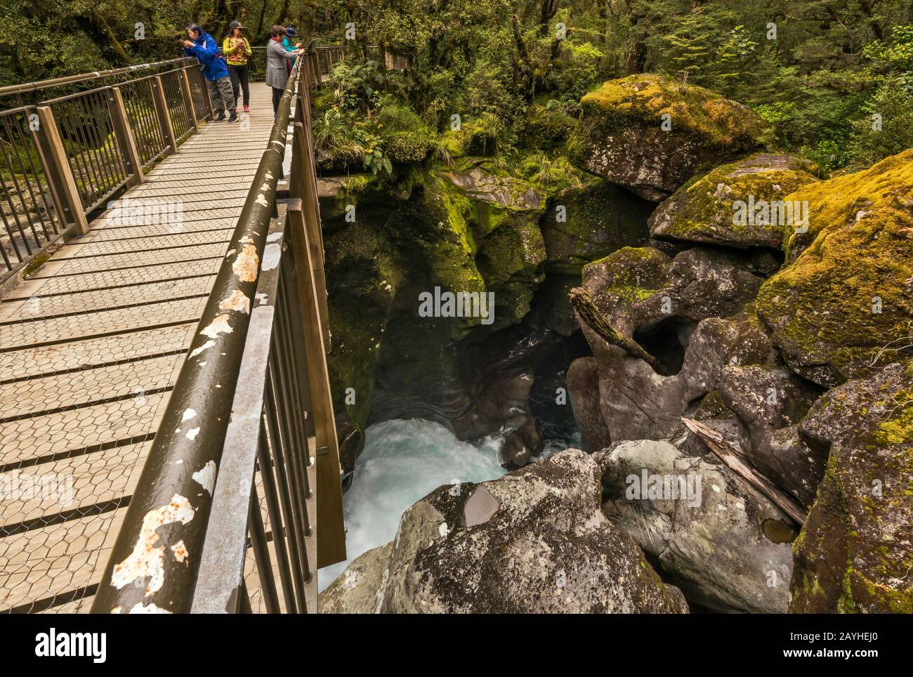The chasm fiordland hi-res stock photography and images - Alamy