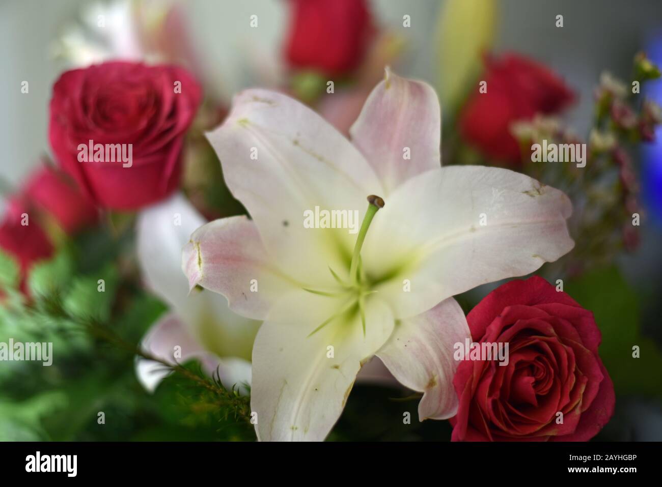 Rose and Lily Flower Arrangement Stock Photo - Alamy