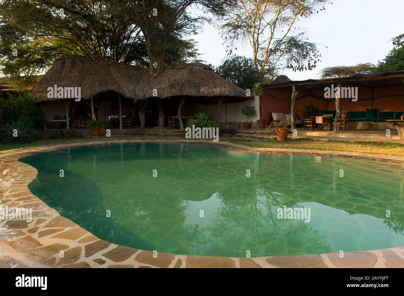 African safari lodge pool and wildlife hi-res stock photography and ...