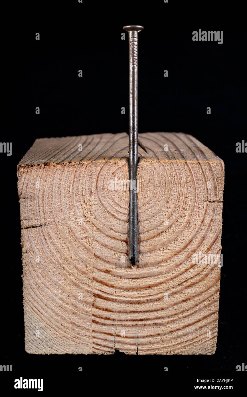One nail embedded in a piece of wood shown in cross-section. Carpentry ...