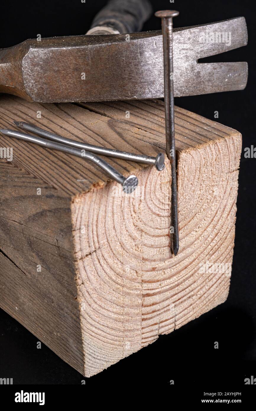 One nail embedded in a piece of wood shown in section and a hammer ...