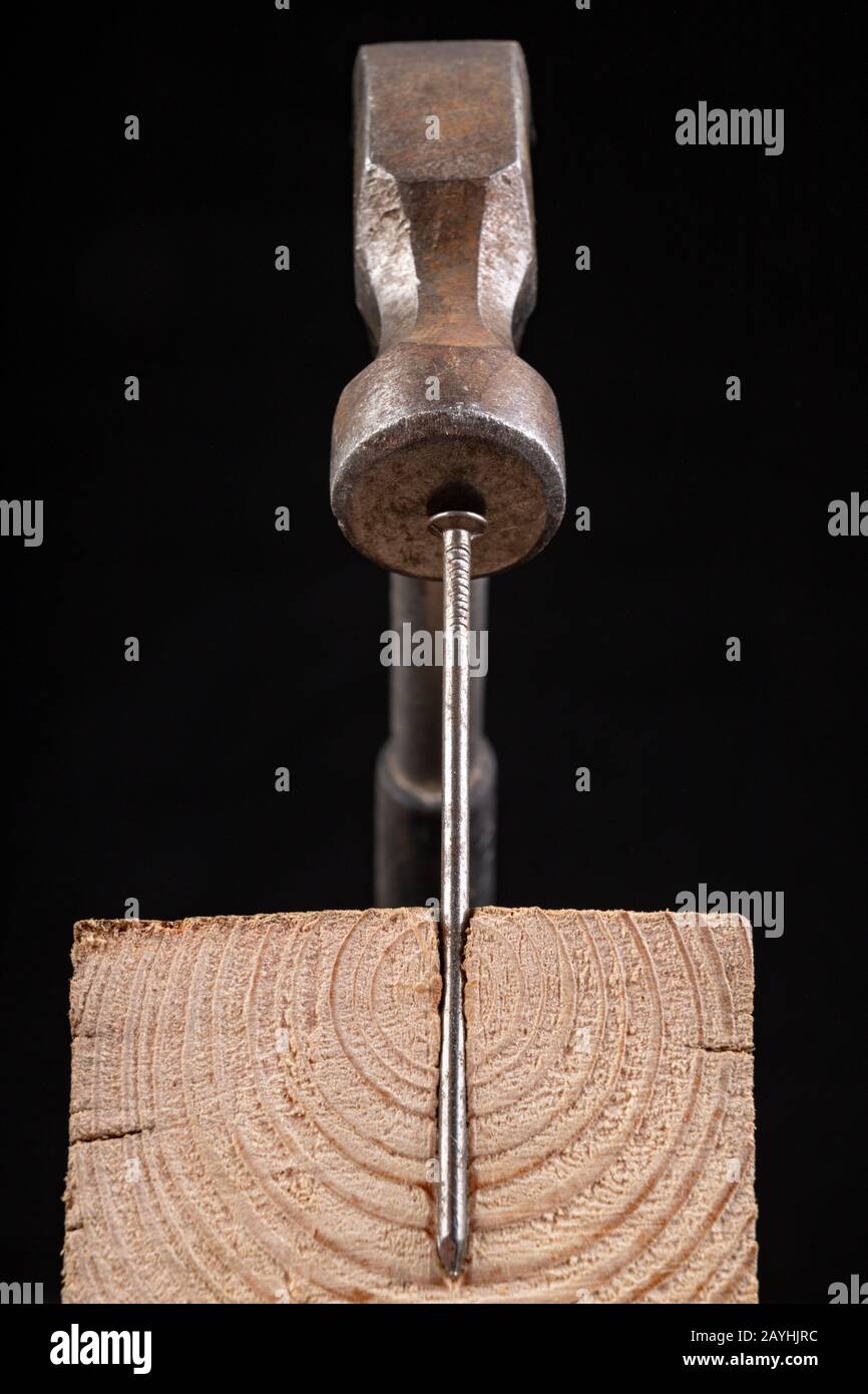 One nail embedded in a piece of wood shown in section and a hammer ...