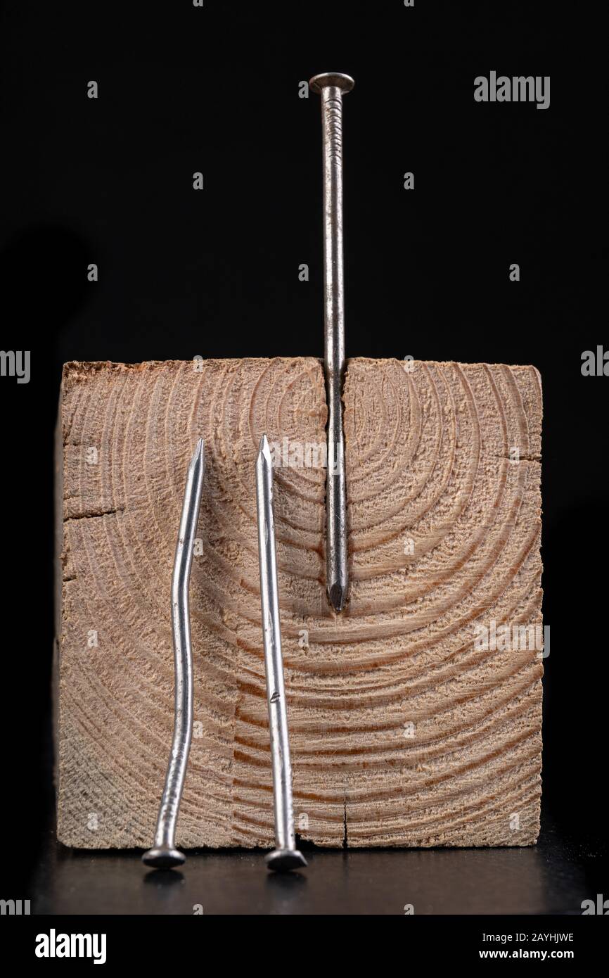 One nail embedded in a piece of wood shown in section and a hammer ...