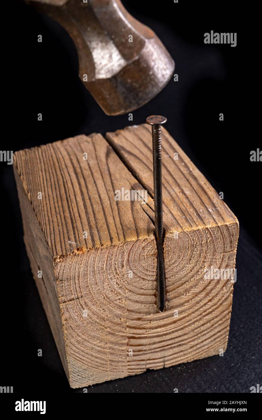 One nail embedded in a piece of wood shown in section and a hammer ...
