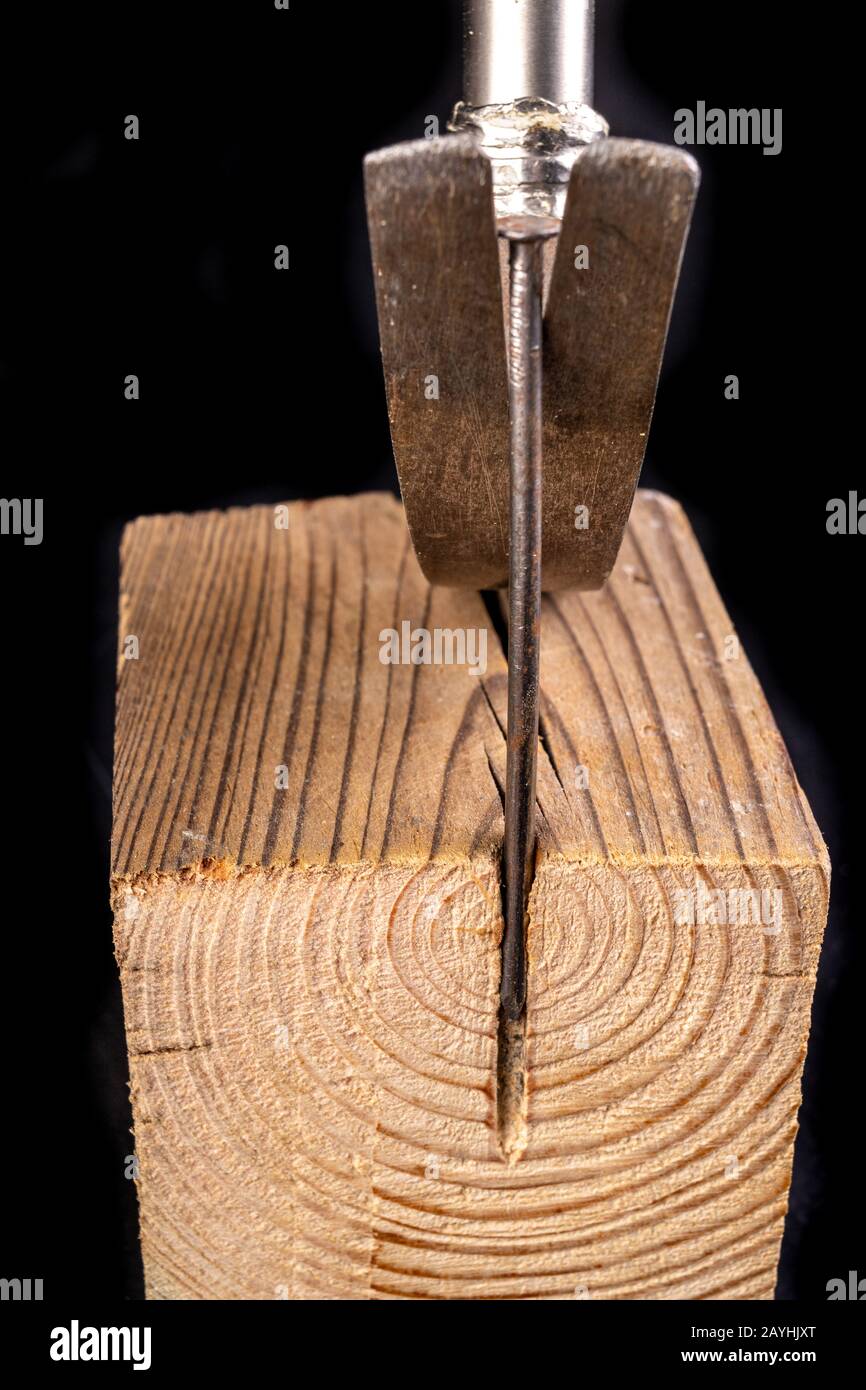 Pulling out a nail with a carpenter's hammer. Carpentry accessories on ...