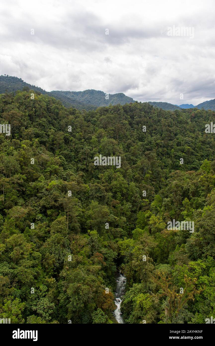 The view from the cable car crossing a valley covered with rainforest ...