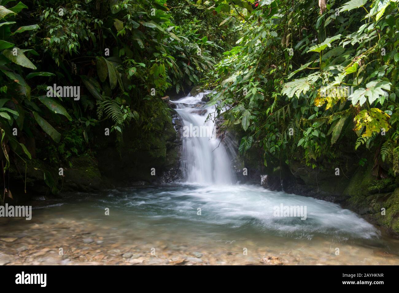The Cascada (waterfall) Ondinas in the rainforest of the Nambillo Cloud ...