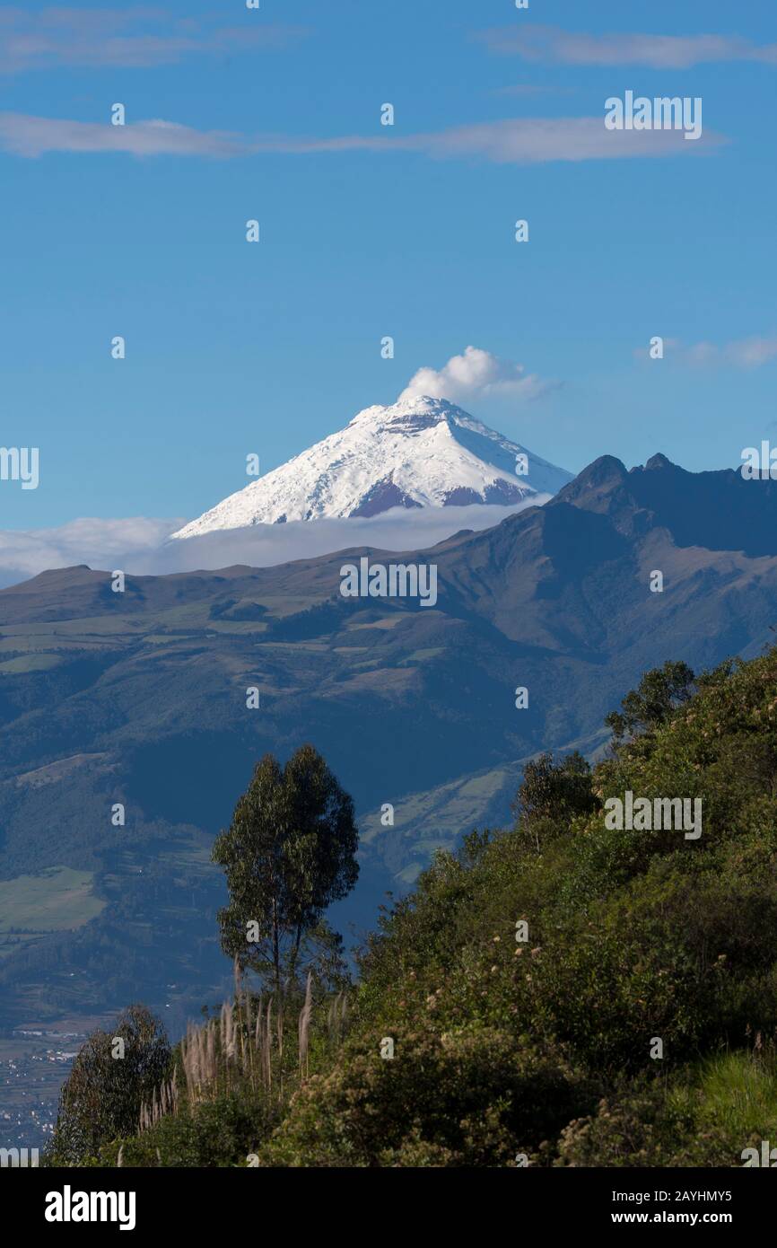 View of Cotopaxi volcano, an active stratovolcano in the Andes ...