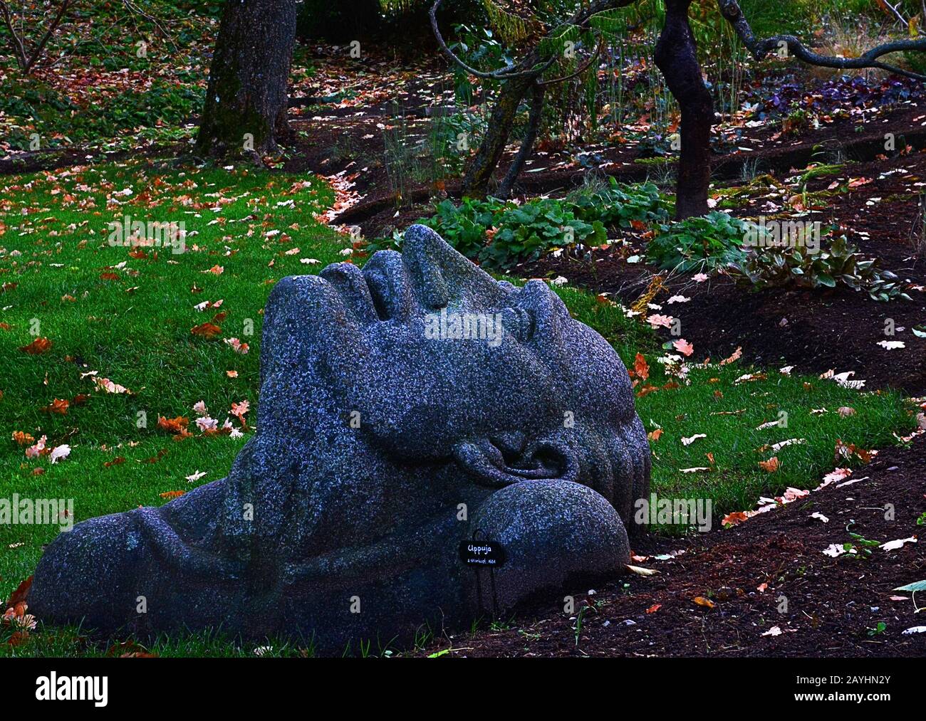 Drowner hi-res stock photography and images - Alamy