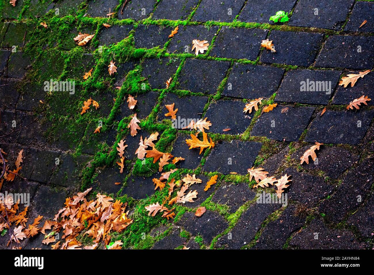 Sloping surface hi-res stock photography and images - Alamy